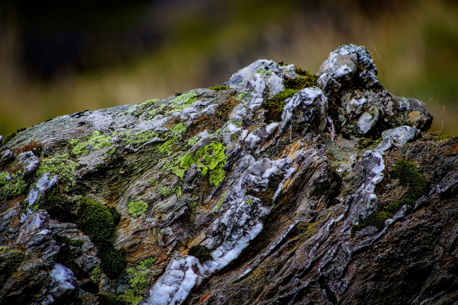 Snowdonia & Peaks District National Parks - ATW Trip Day #43 - Happy Hoppe